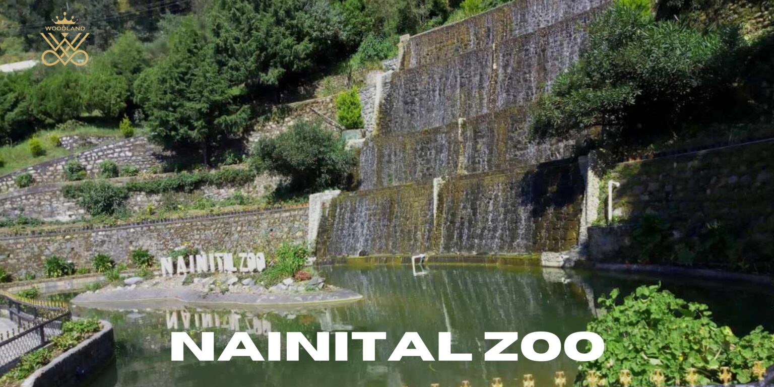 Nainital Zoo: Timings, Entry Tickets and Direction - Hotel Woodland ...
