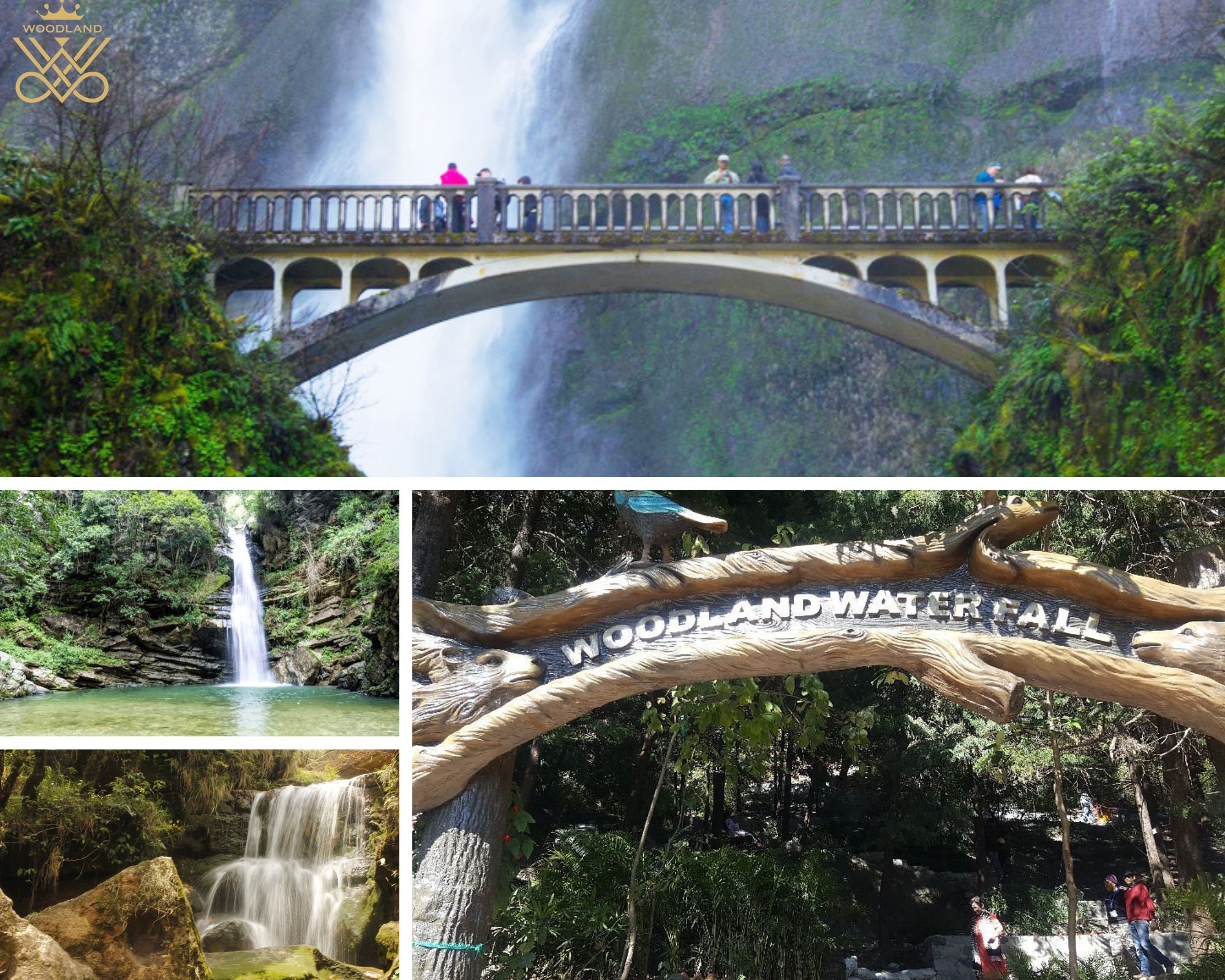 The Complete Guide to Waterfalls in Nainital (2025) - Hotel Woodland ...